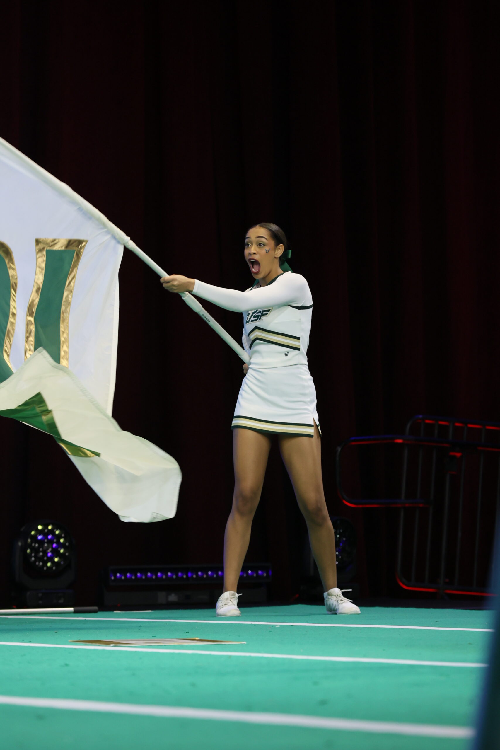 The University of South Florida - All American Flags And Banners